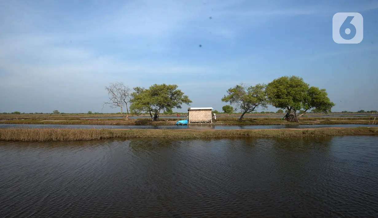 FOTO: Kenaikan Air Laut Pantai Bahagia Muara Gembong - Foto Liputan6.com