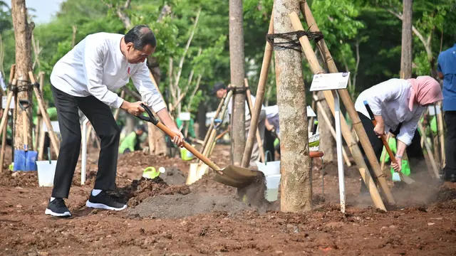 Tanam Pohon Serentak, Jokowi: Untuk Atasi Polusi di Jabodetabek - News Liputan6.com
