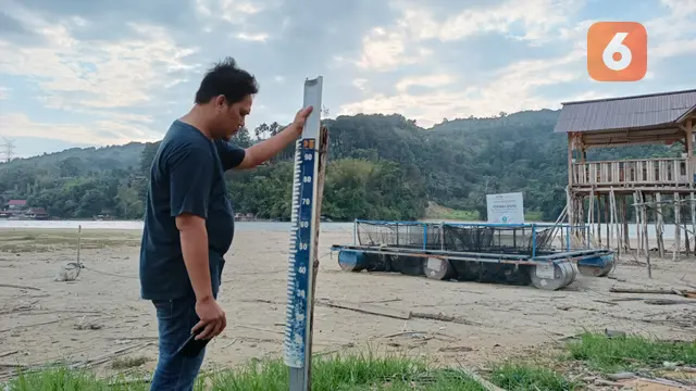 Saat Surutnya Danau Poso Akibat El Nino Bikin Kota Palu Paceklik Pasokan Listrik - Regional ...