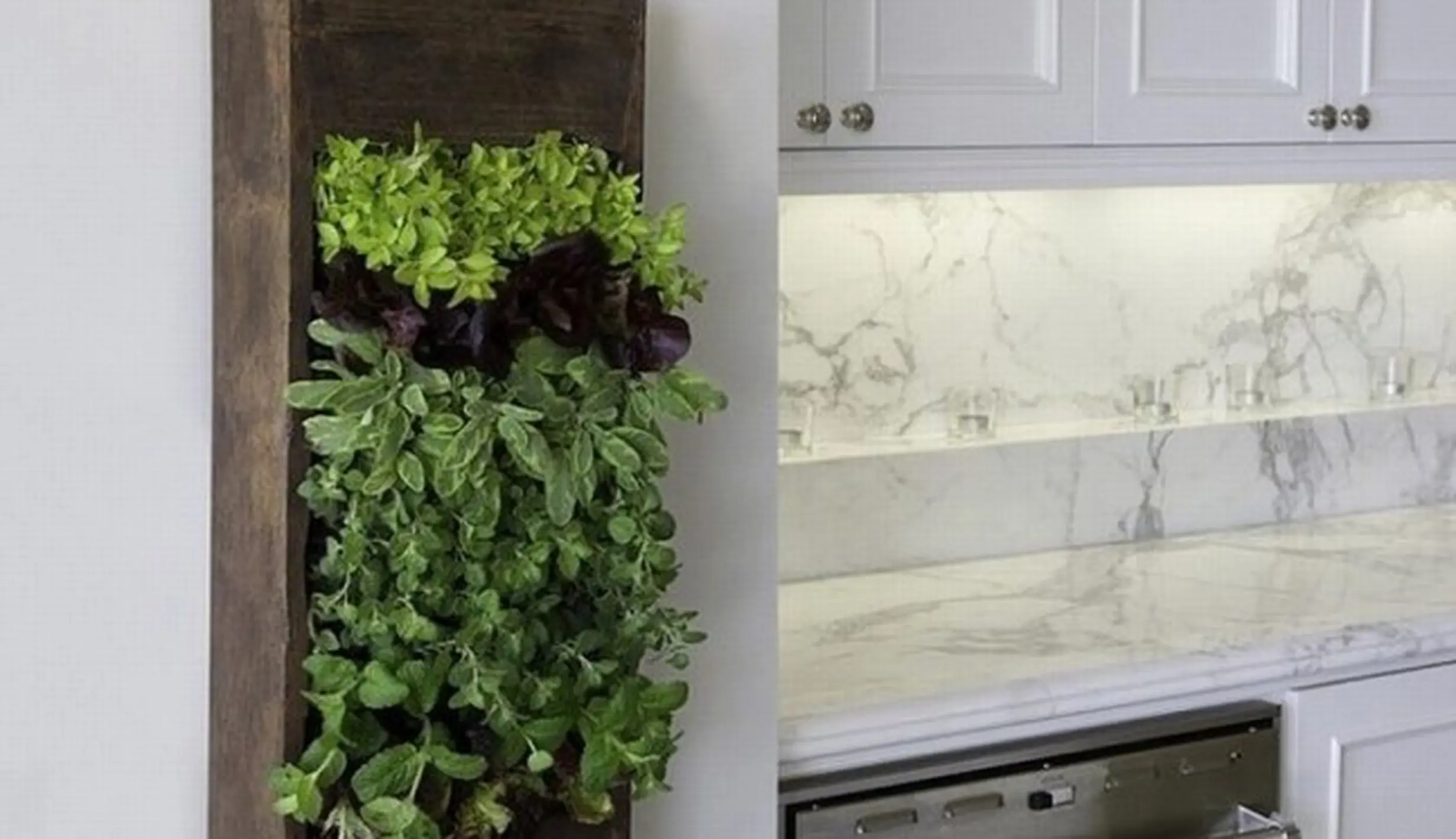 10 Ide Go Green Menanam Bumbu Dapur Di Dalam Rumah - Photo Fimela.com