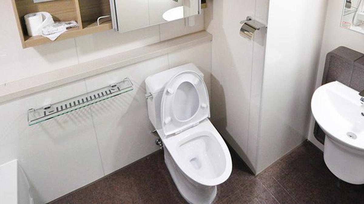 Ada Dua Tombol Flush di Toilet, Sudah Tahu Masing-Masing Fungsinya?