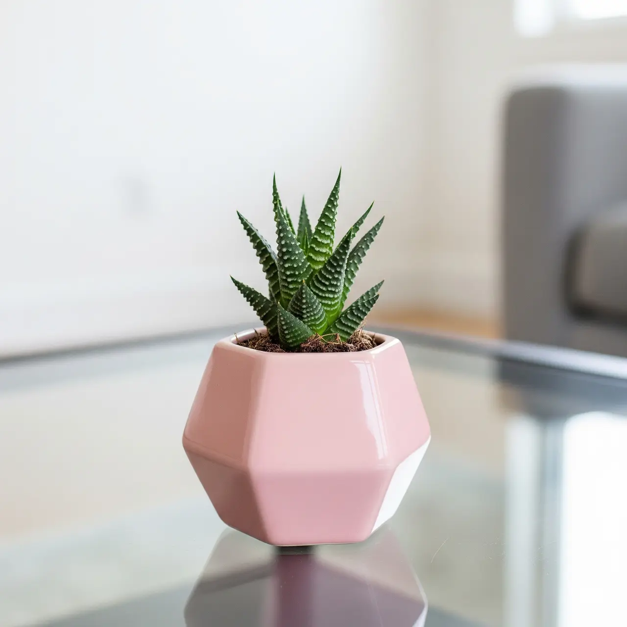 6 Model Pot Bunga Minimalis Terbaru, Cocok untuk Percantik Rumah ...