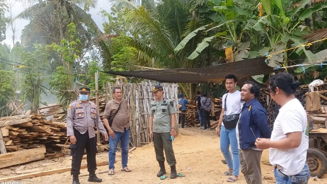 Ratusan Batang Kayu Jati Hasil Penebangan Liar Diamankan di Kebun Buah Naga Banyuwangi ...