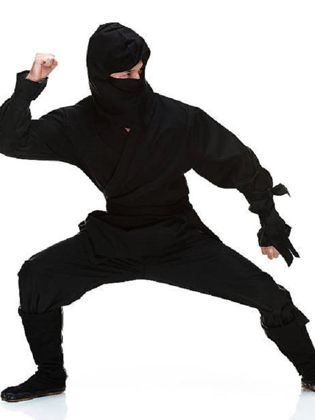 Serasa Berada di Negeri Sakura, Intip Desa Ninja di Indonesia Ini ...