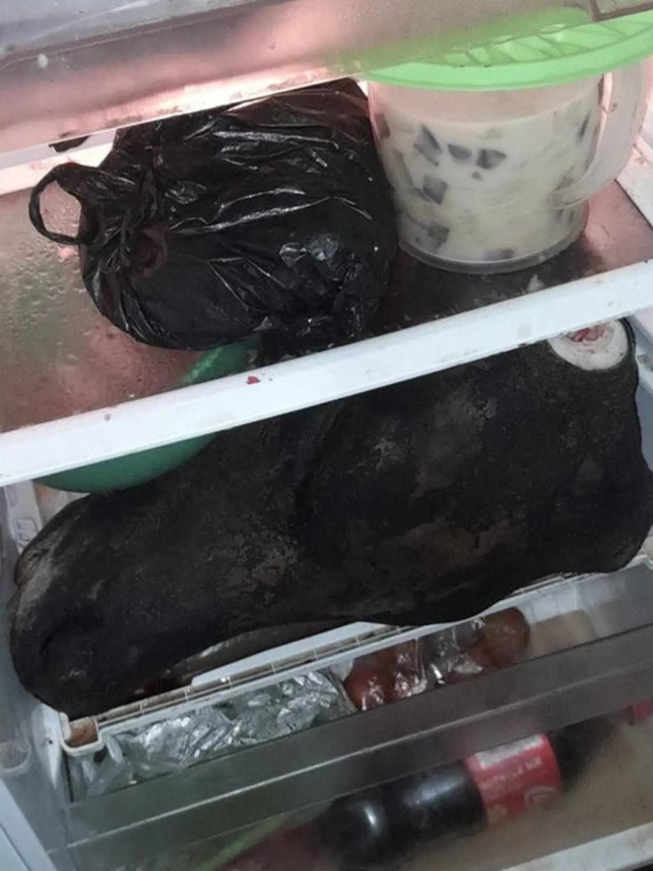 6 Potret Isi Kulkas Pasca Kurban Ini Bikin Geleng Kepala, Serem Banget ...