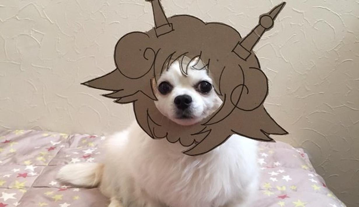 Terlihat Bahagia, Anjing Ini Dibuatkan Beragam Topeng Kardus Lucu ...
