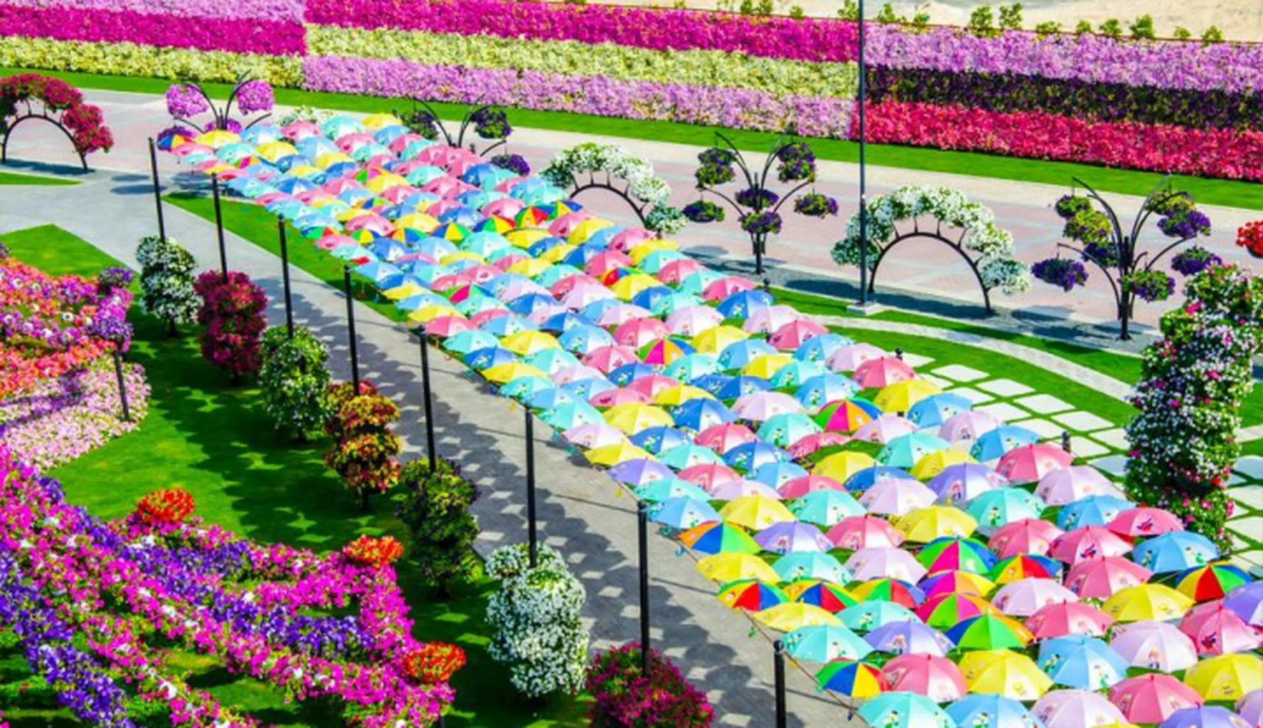 Dubai Miracle Garden: Cantiknya Taman Bunga Terbesar di Dunia