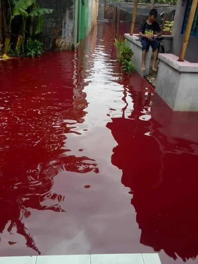 6 Potret Banjir Pekalongan Berwarna Merah Pekat, Ini Fakta di Baliknya ...