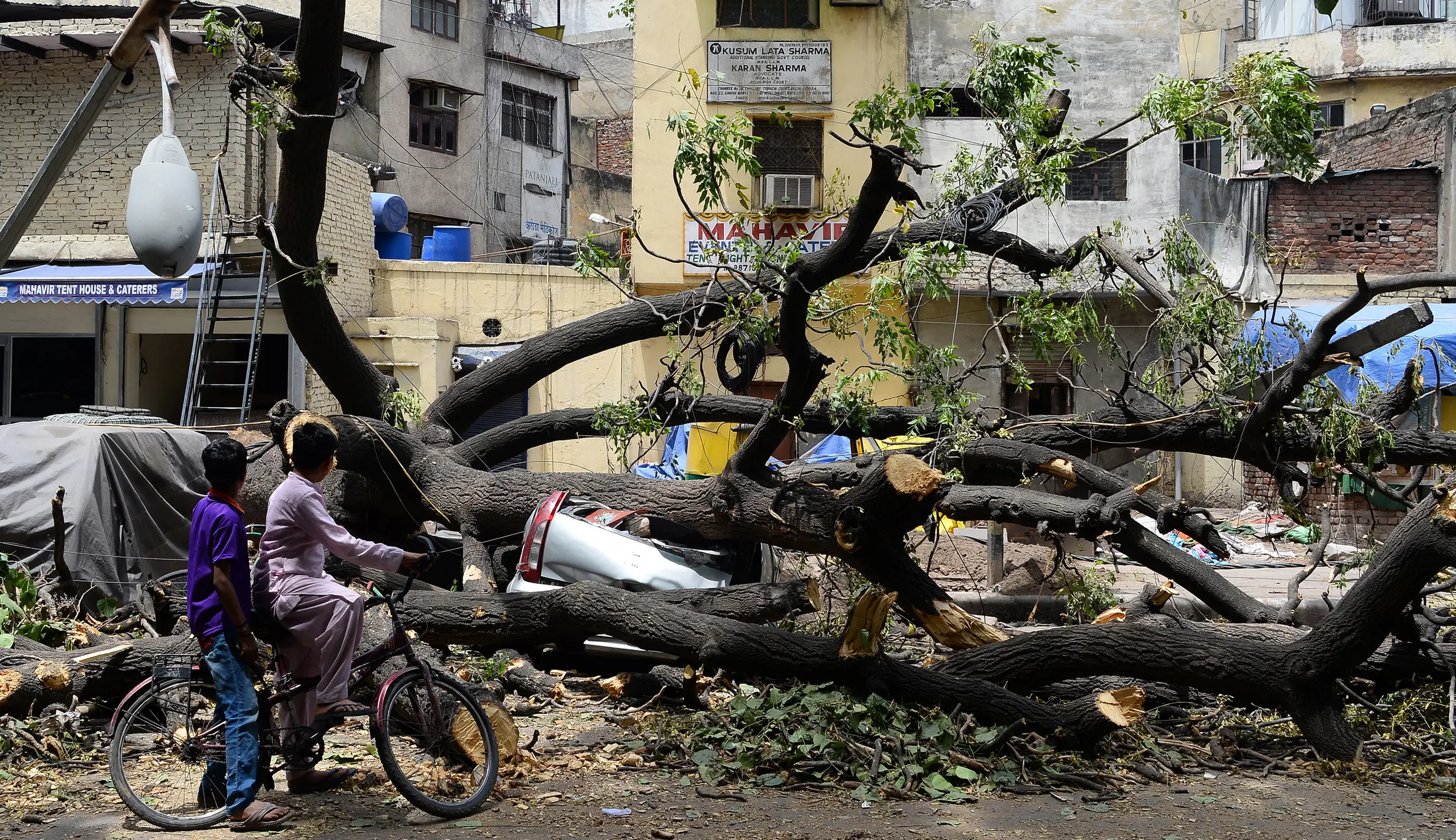 FOTO: Diterjang Badai Angin, Pohon Besar Tumbang Timpa Mobil di India ...