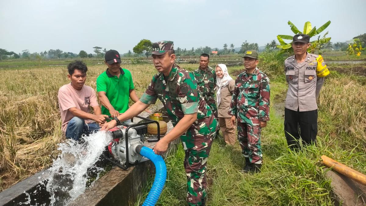 Wujudkan Swasembada Pangan, Satgas Pangan TNI Dukung Program Pompanisasi dan PAT dari Kementan ...