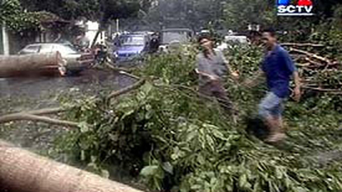 Angin Ribut Menghantam Jakarta Selatan - News Liputan6.com