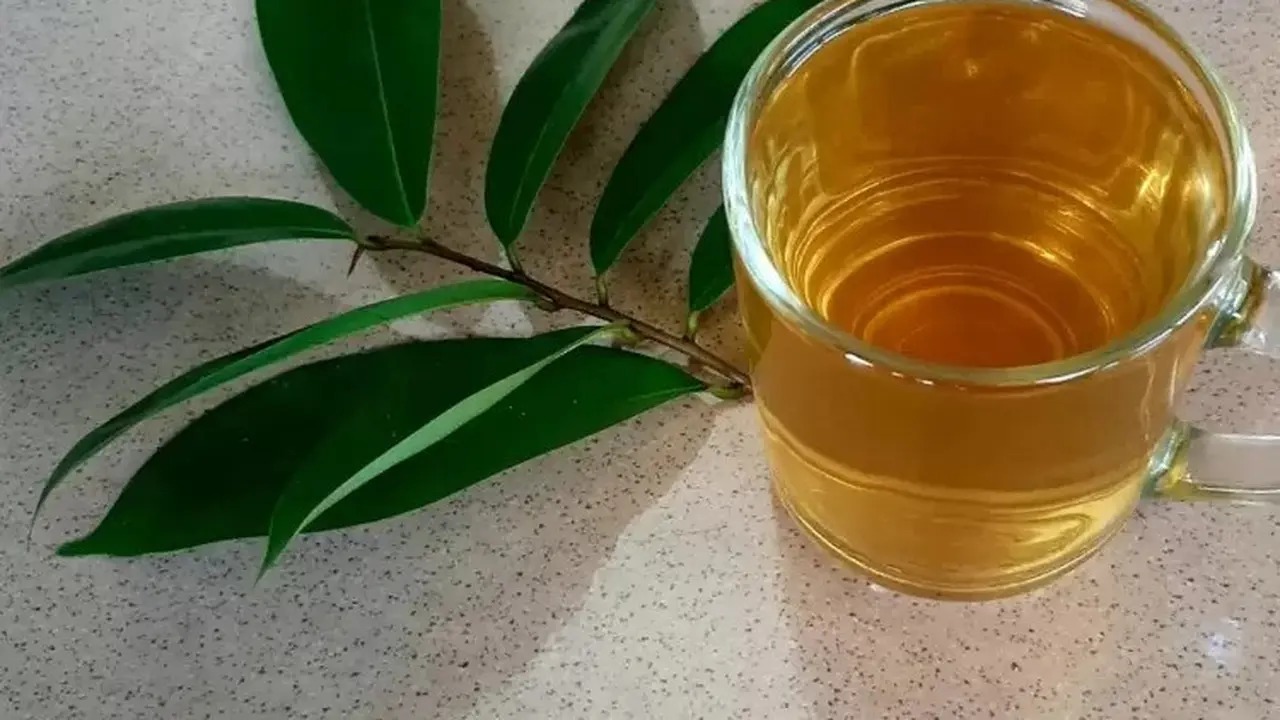 6 Air Rebusan yang Bisa Menurunkan Kolesterol dengan Cepat, dari Daun ...