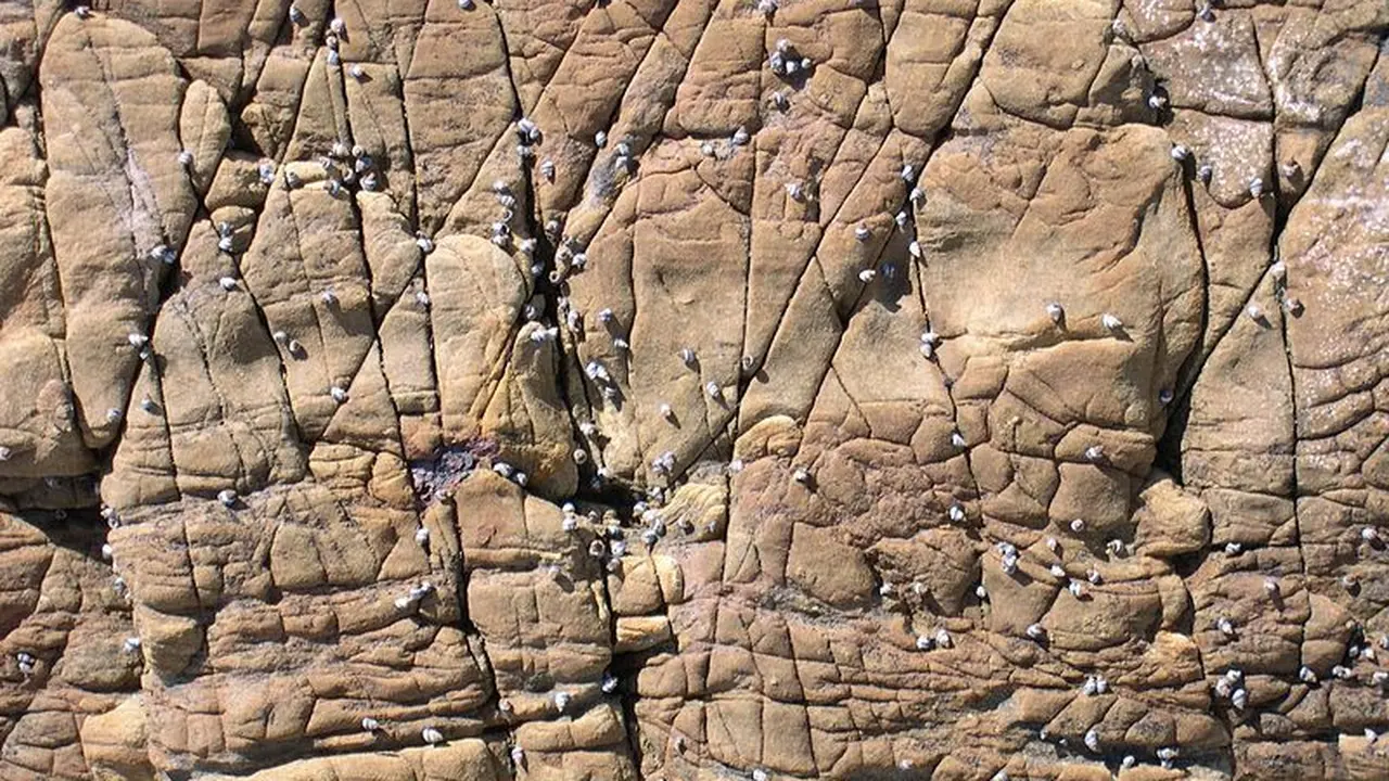 13 Jenis Batuan Alam yang Lengkap dengan Penjelasannya - Hot Liputan6.com