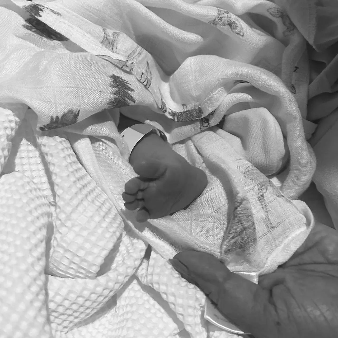 Anak Jennifer Coppen Telah Lahir, Lihat 10 Potret Hangatnya Menyusui ...