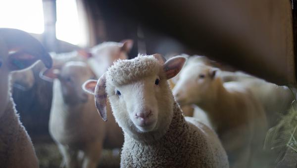 28 April 1994: Vonis Penjara Agen Ganda CIA Aldrich Ames, Nekat Jual ...