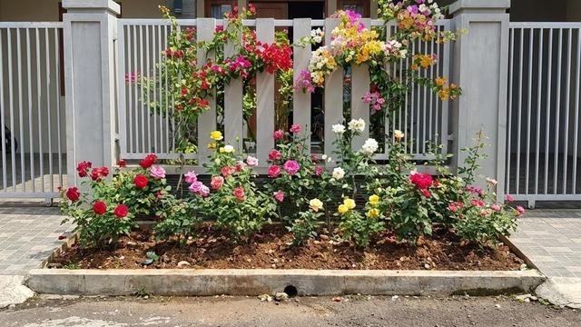 9 Model Kebun Estetik Bisa Jadi Hiasan Rumah, Hunian Nyaman dan Asri