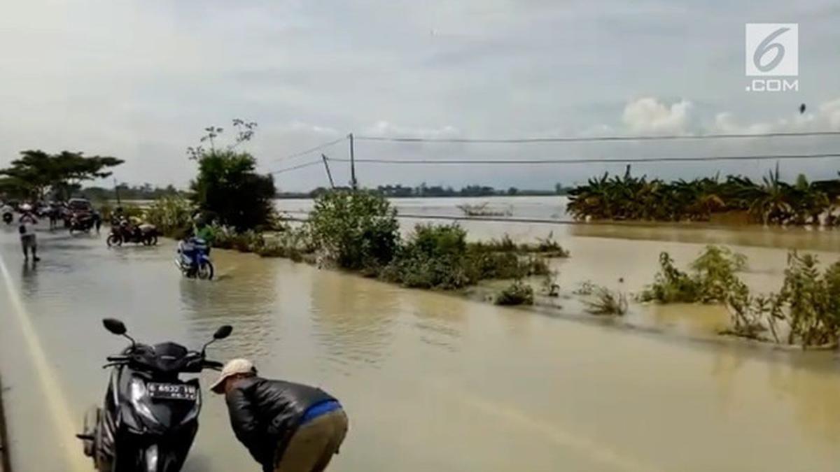 VIDEO: Banjir Pantura Lumpuhkan Perekonomian Wilayah Brebes - Regional Liputan6.com