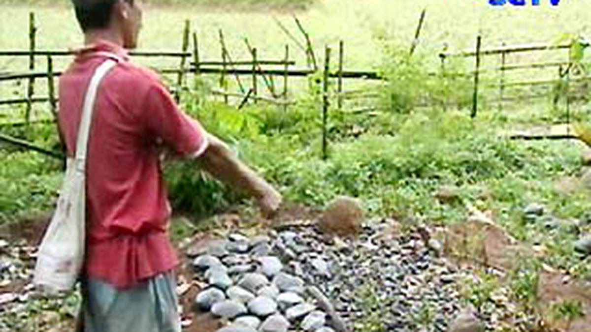 Saptono Dimakamkan di Samping Sang Kakak - News Liputan6.com