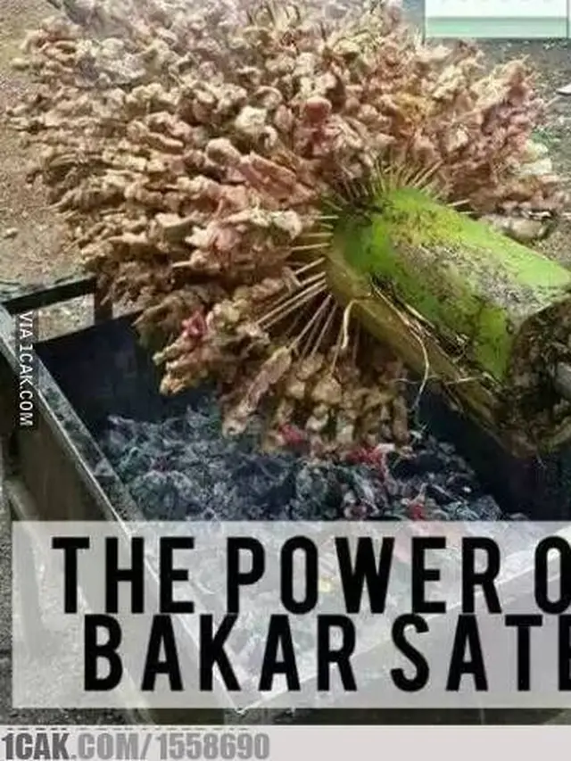 6 Cara Nyeleneh Bakar Sate Ini yang Penting Matang, Bikin Geleng Kepala ...