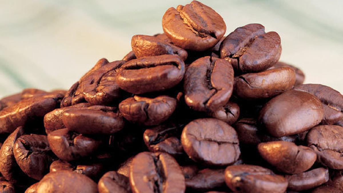Yuk Kenali 4 Fakta Tentang Kafein - Beauty Fimela.com
