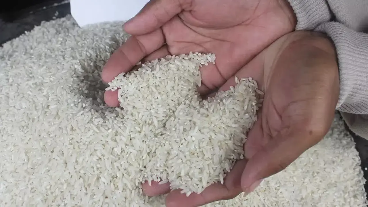 Diduga Konsumsi Beras Sintetis, Warga Bukit Tinggi Mengaku Demam dan ...