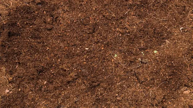 12 Jenis Tanah di Indonesia yang Perlu Diketahui - Ragam Bola.com