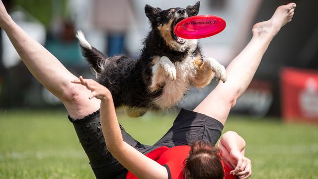 23 Januari 1957: Pertama Kalinya Frisbee, Mainan Piring Terbang ...