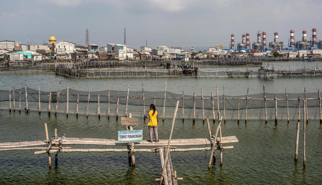 Melihat Tanggul Laut Tambaklorok yang Diproyeksikan Bertahan hingga 30 ...
