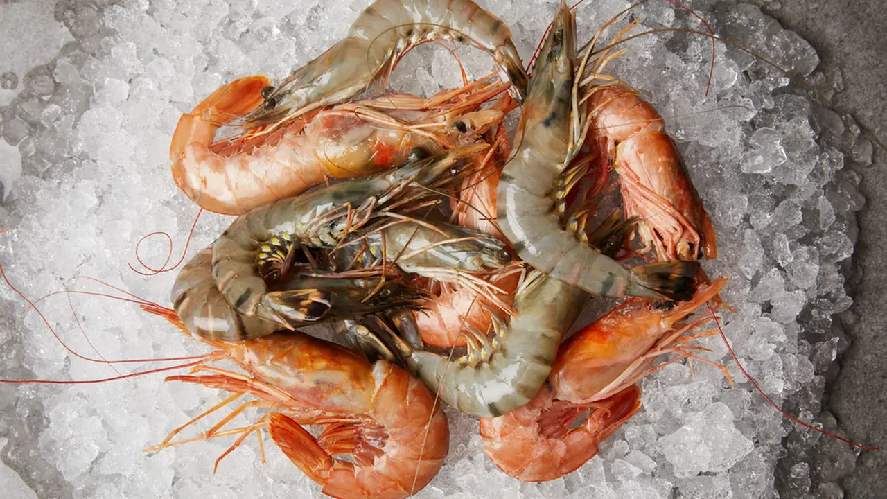 Tips Membersihkan Udang agar Bersih, Segar, dan Siap Dimasak