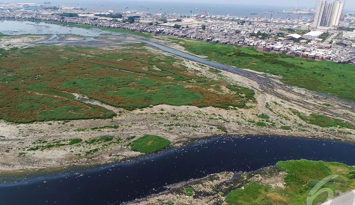 Begini Penampakan Waduk Pluit yang Mengering - Foto Liputan6.com