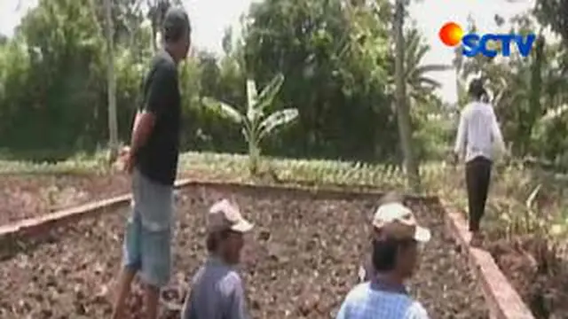 Jenazah Dulmatin akan Dimakamkan di Pemalang - News Liputan6.com