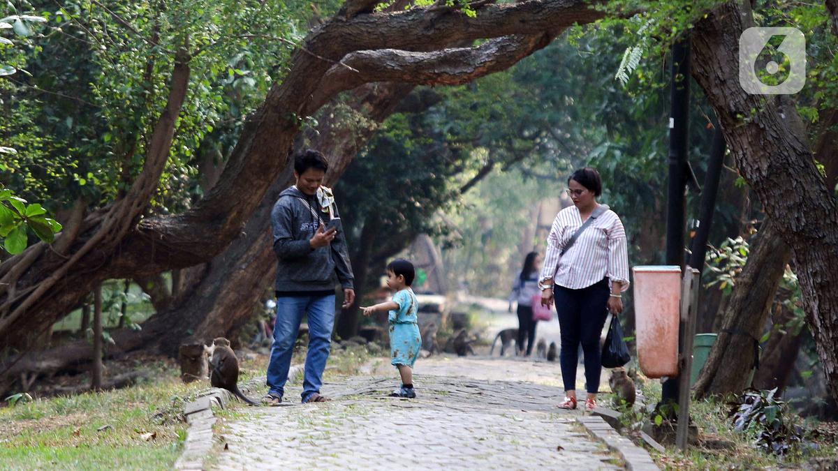Melihat Lebih Dekat Kawasan Ekowisata Mangrove Pantai Indah Kapuk