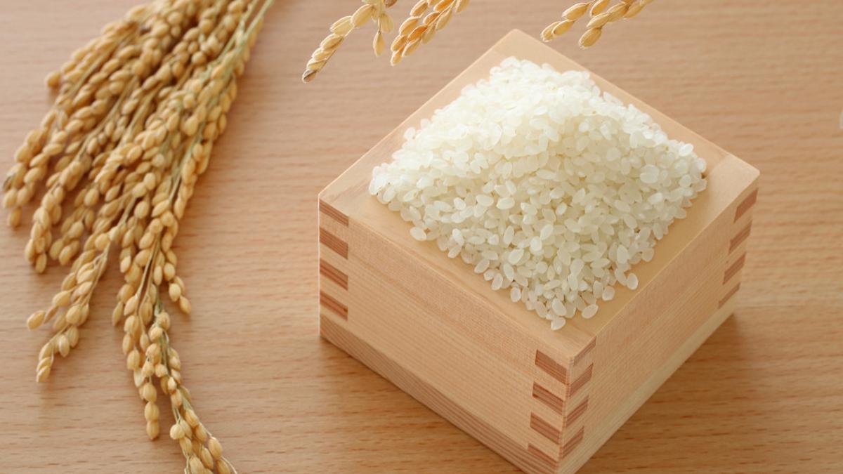 4 Tips Ampuh Menyimpan Beras Biar Nggak Berkutu, Cukup Pakai Bahan ...