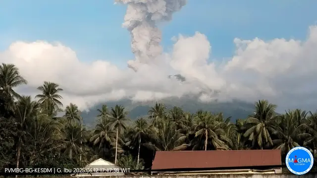 Gunung Ibu Erupsi Lagi, Semburkan Abu Vulkanik 1.200 Meter ke Arah Selatan - Regional Liputan6.com