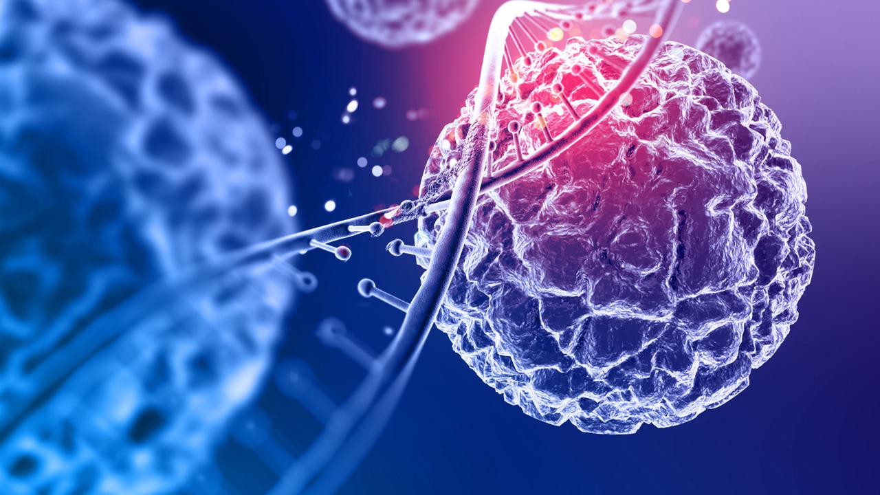 Holoenzim Adalah: Komponen Penting dalam Aktivitas Enzim