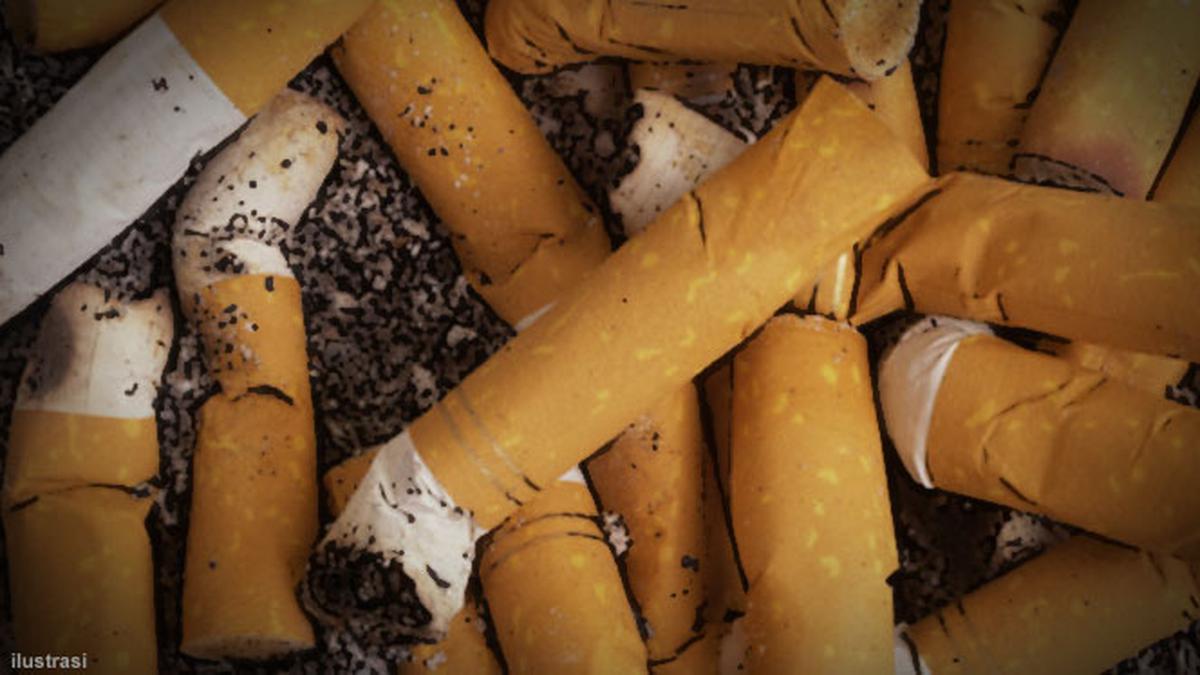 Nikotin Rajanya Zat Adiktif, Kalahkan Heroin dan Morfin - Health ...