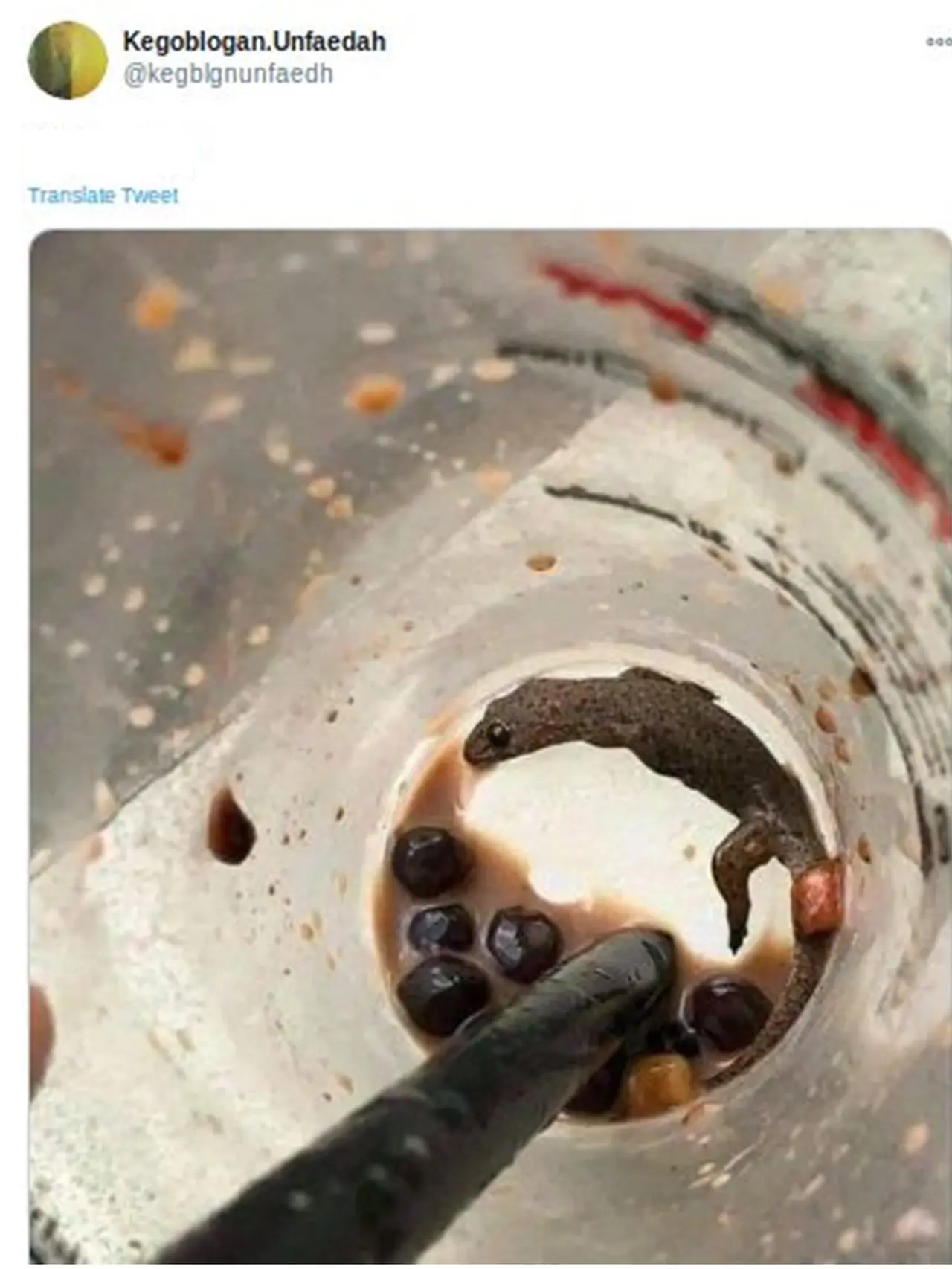 6 Potret Penemuan Cicak Mati di Makanan Ini Bikin Hilang Nafsu Makan ...