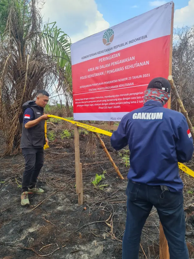 Diduga Picu Karhutla di Lahan Gambut Riau, 3 Perizinan Berusaha Pemanfaatan Hutan Disegel ...