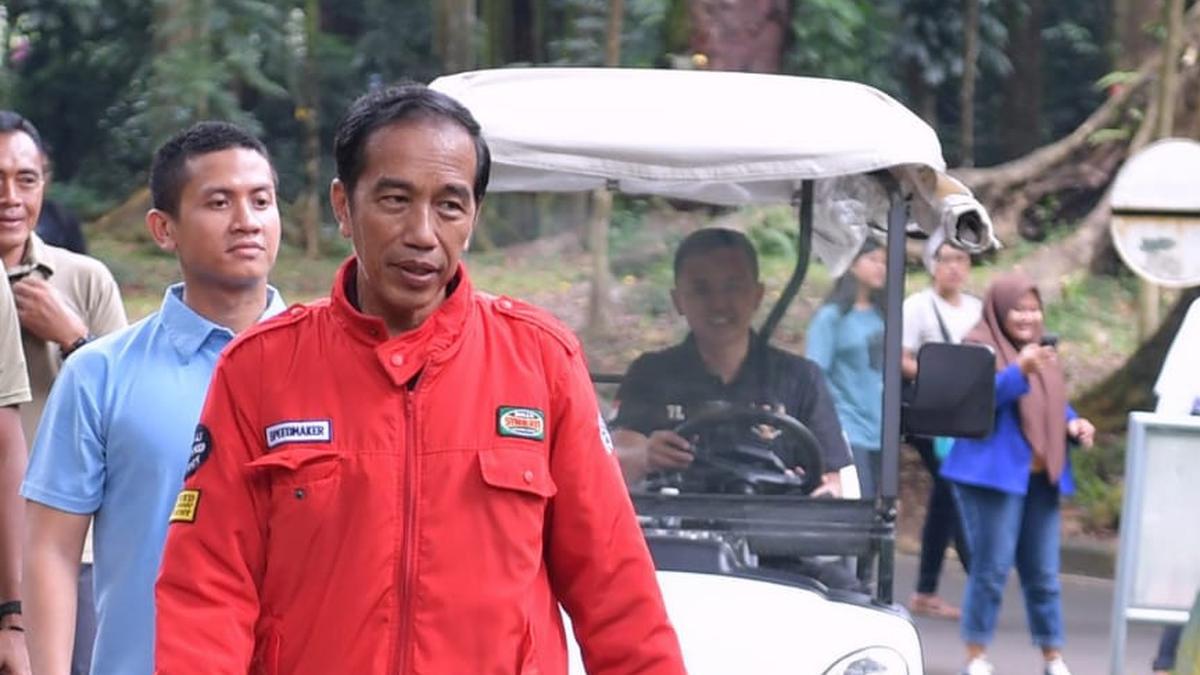 Sebelum Pidato, Jokowi Ajak Jan Ethes Jalan Kaki ke Kebun Raya Bogor ...