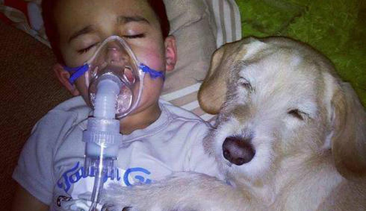 Cerita Manis Antara Anak Kecil Dan Anjing Piaraan Mereka - Photo Fimela.com