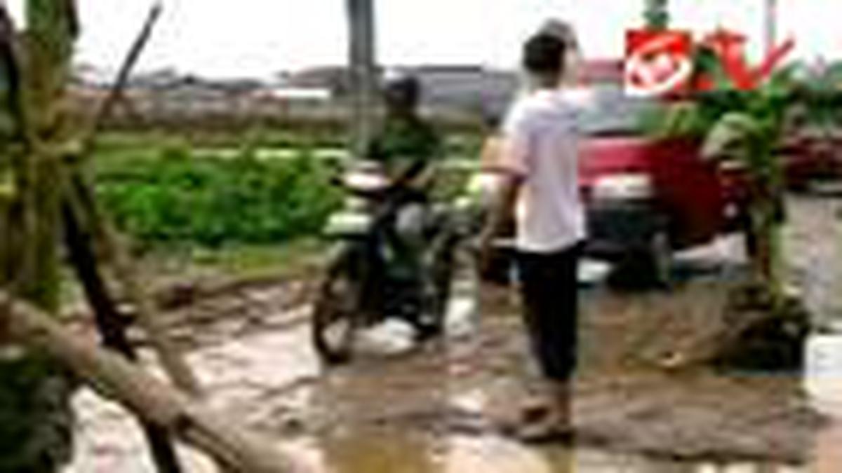 Jalan Rusak Ditanami Pohon Pisang - Video Liputan6.com