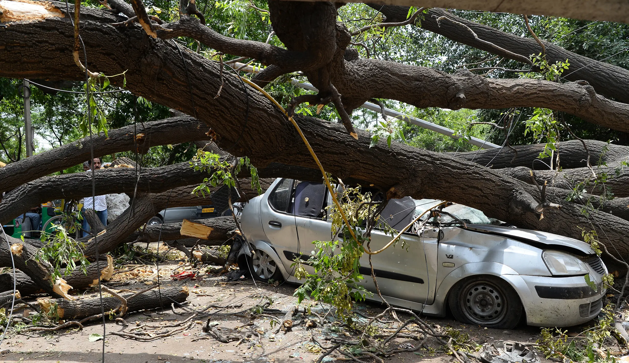 FOTO: Diterjang Badai Angin, Pohon Besar Tumbang Timpa Mobil di India ...
