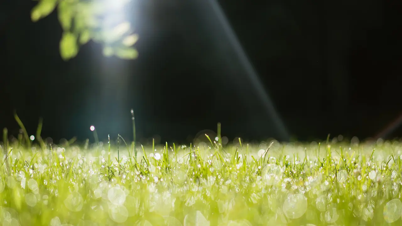 60 Kata Mutiara Pagi Hari yang Bijak, Penuh Makna Mendalam - Hot ...