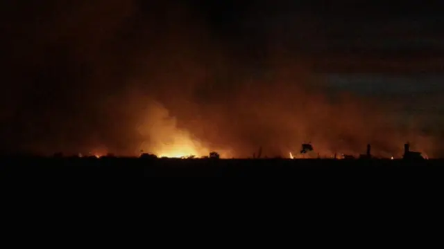 BPBD: Kebakaran Lahan Gambut di Aceh Barat Sudah Padam Seluruhnya - News Liputan6.com