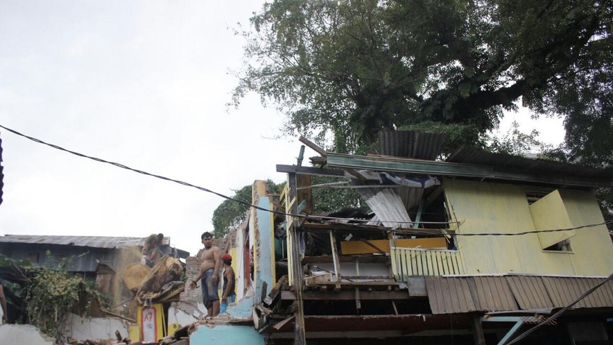 Enak-Enak Tidur, 7 Orang Tertimpa Pohon Tumbang - Regional Liputan6.com