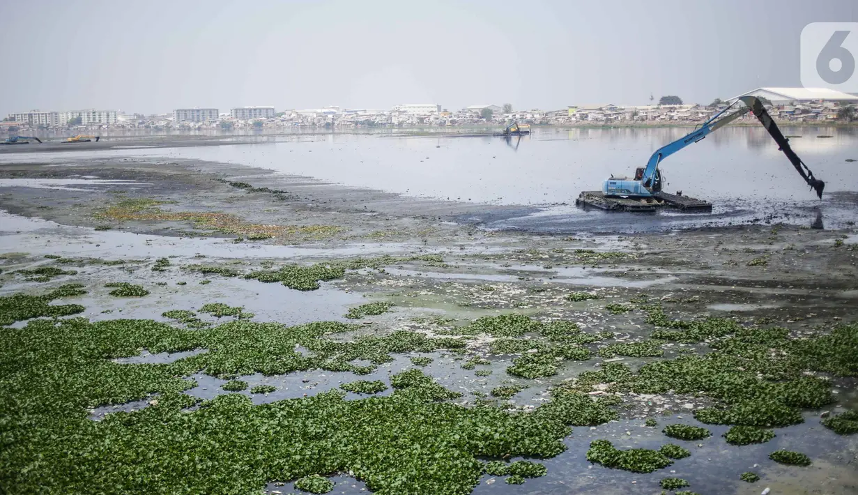 FOTO: Alat Berat Keruk Lumpur Waduk Pluit - Foto Liputan6.com