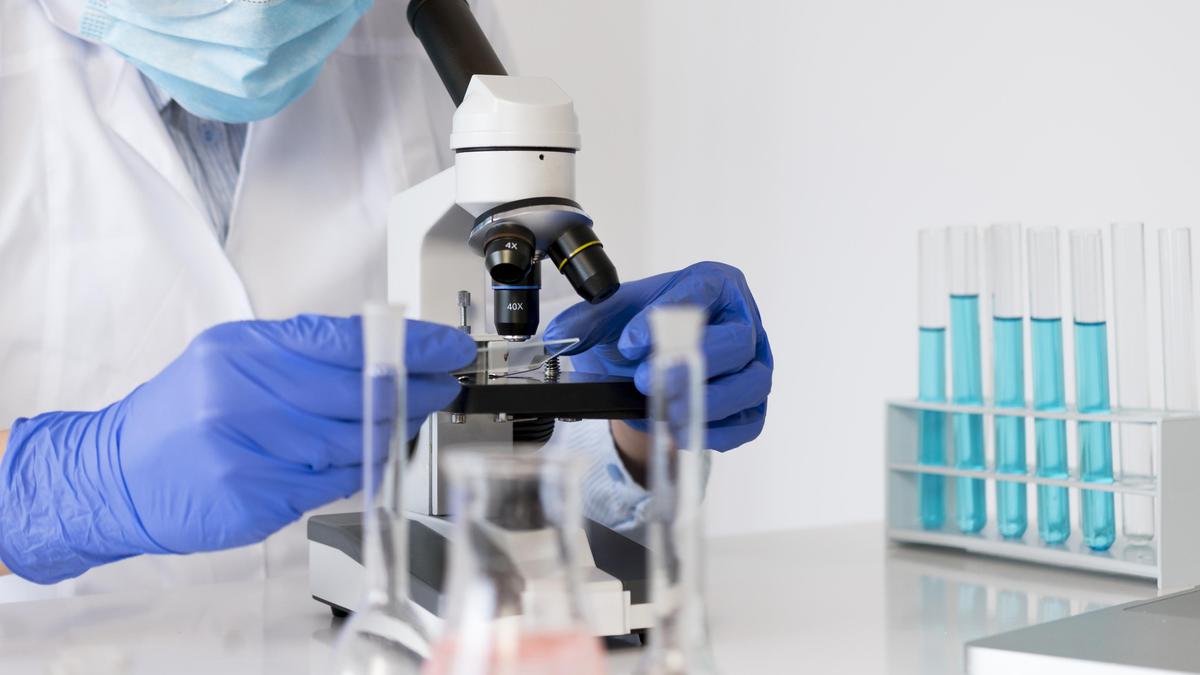 Menelisik Asal dan Cara Penularan Virus Marburg, Kini Sudah Menyebar di ...