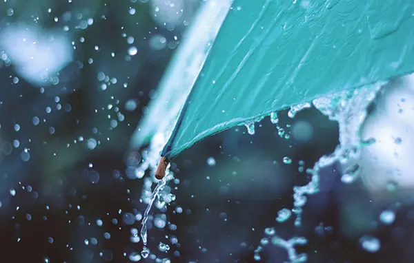 Contoh Panu: Gejala, Penyebab, dan Cara Mengatasinya - Feeds Liputan6.com