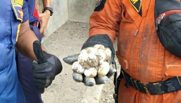 10 Model Dress Simple Elegan Terbaru, Referensi untuk Tampilan ...