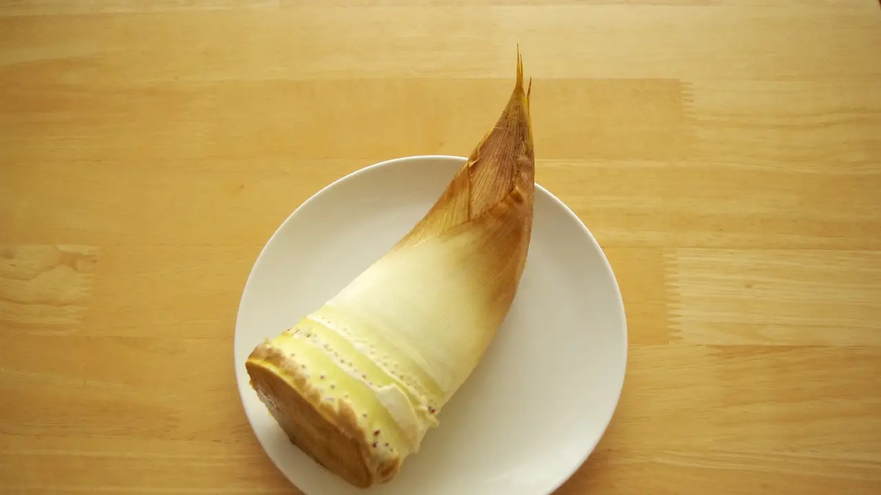 6 Cara Mengolah Rebung Agar Tidak Bau dan Pahit, Lebih Nikmat - Hot ...